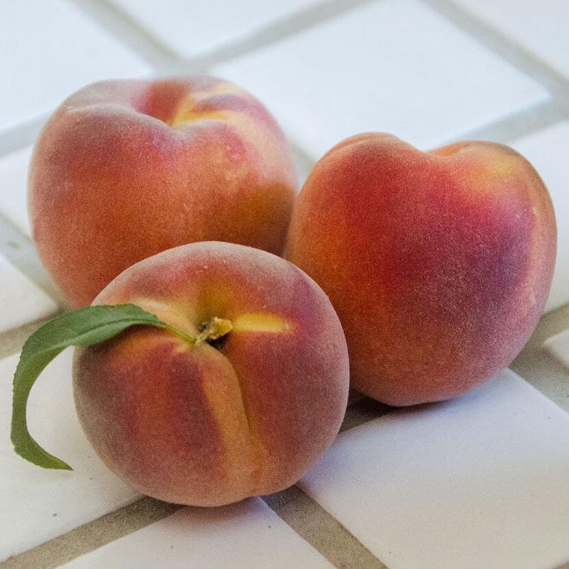 Crimson Lady Peach Tree | Hickory Ridge Orchard LLC
